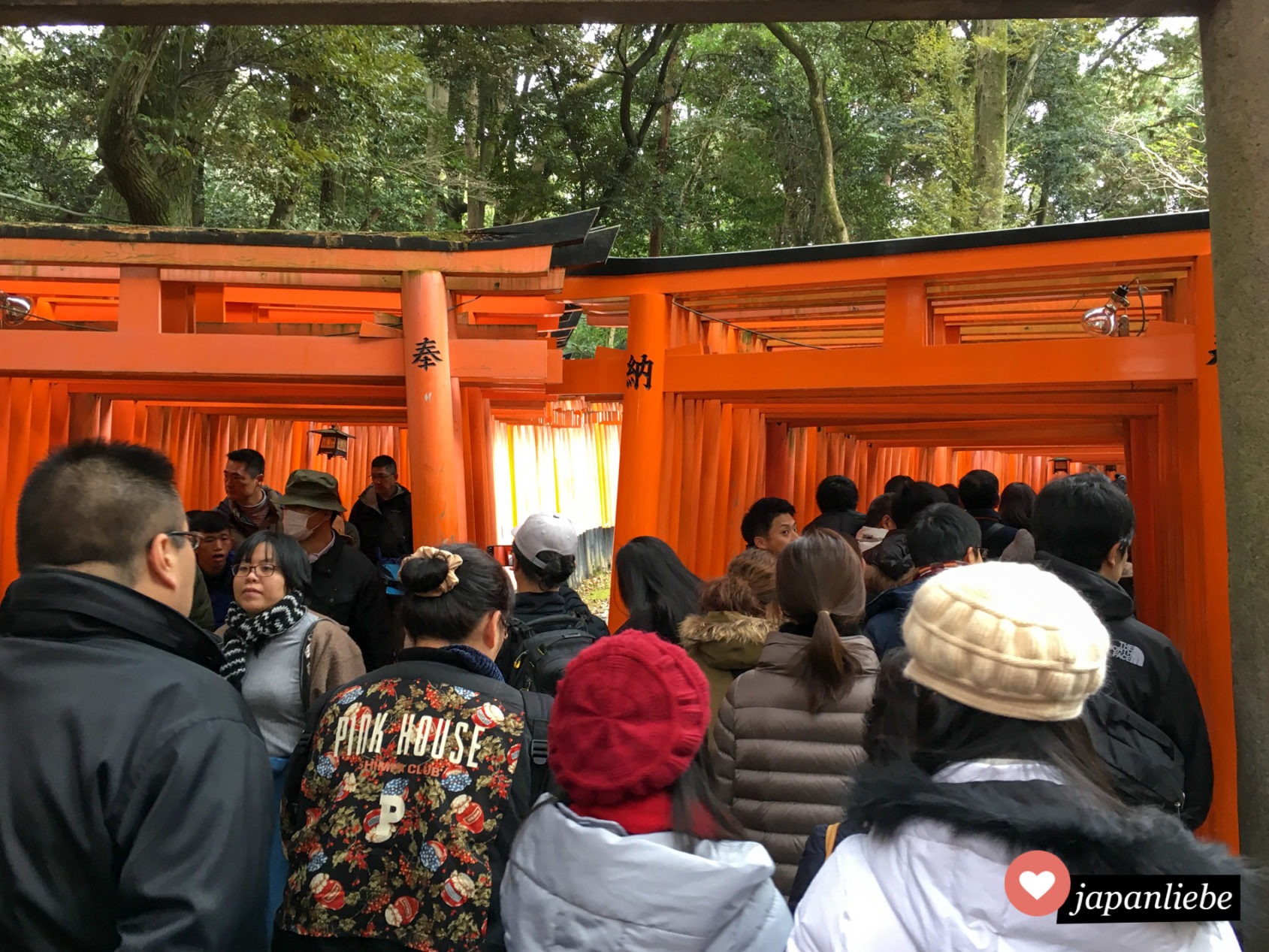 Overtourism – Übertourismus in Japan - japanliebe.de