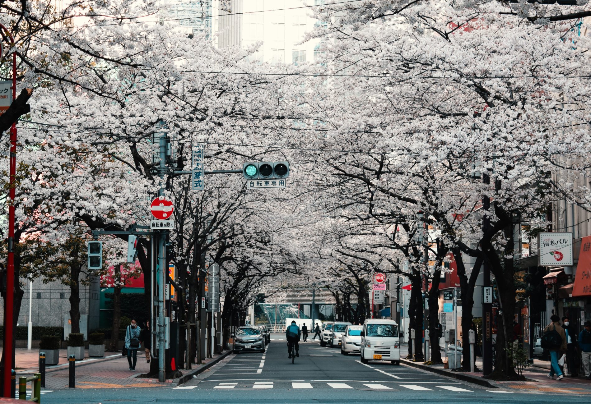 5 Gründe, im Dezember nach Japan zu reisen - japanliebe.de