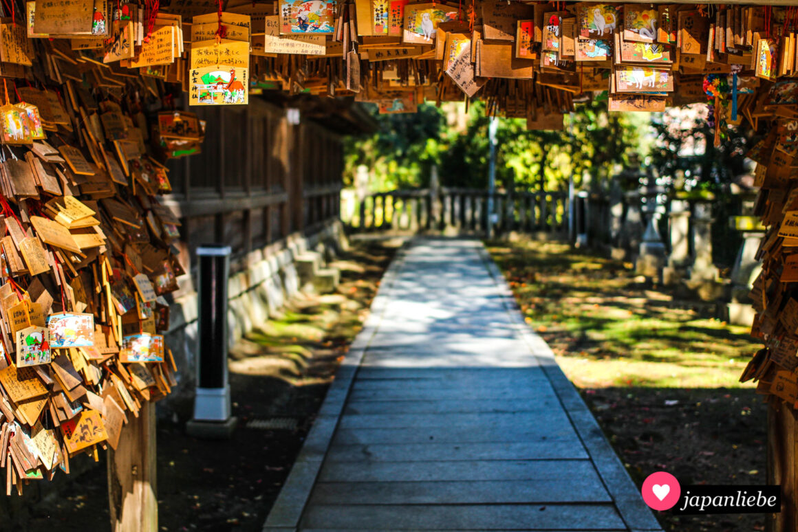 5 Gründe, Uwajima auf Shikoku zu besuchen - japanliebe.de