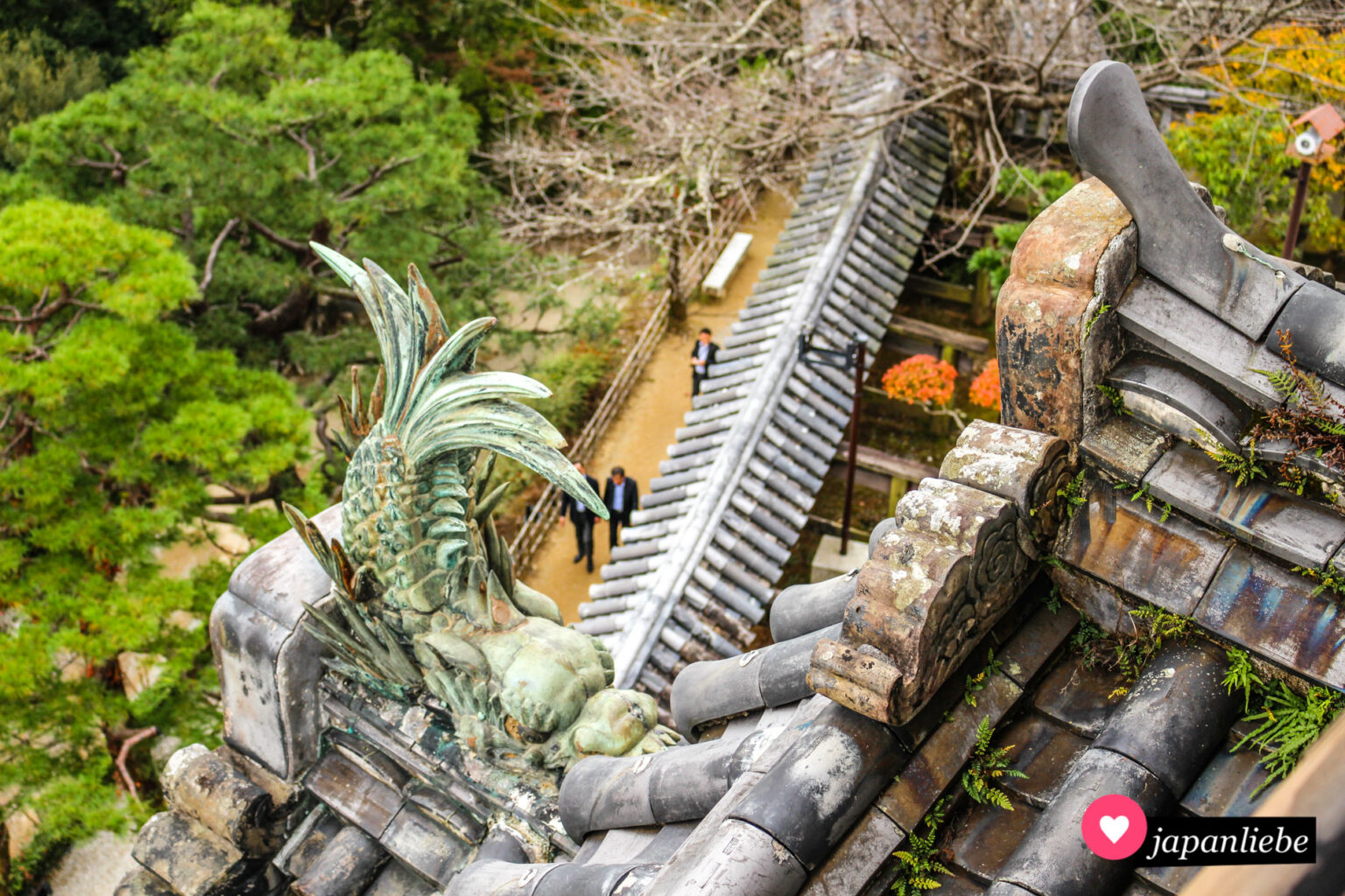 shachihoko – die Schutzfische auf Japans Burgen - japanliebe.de