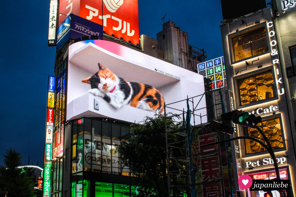 Die gigantische 3-D-Katze in Shinjuku - japanliebe.de