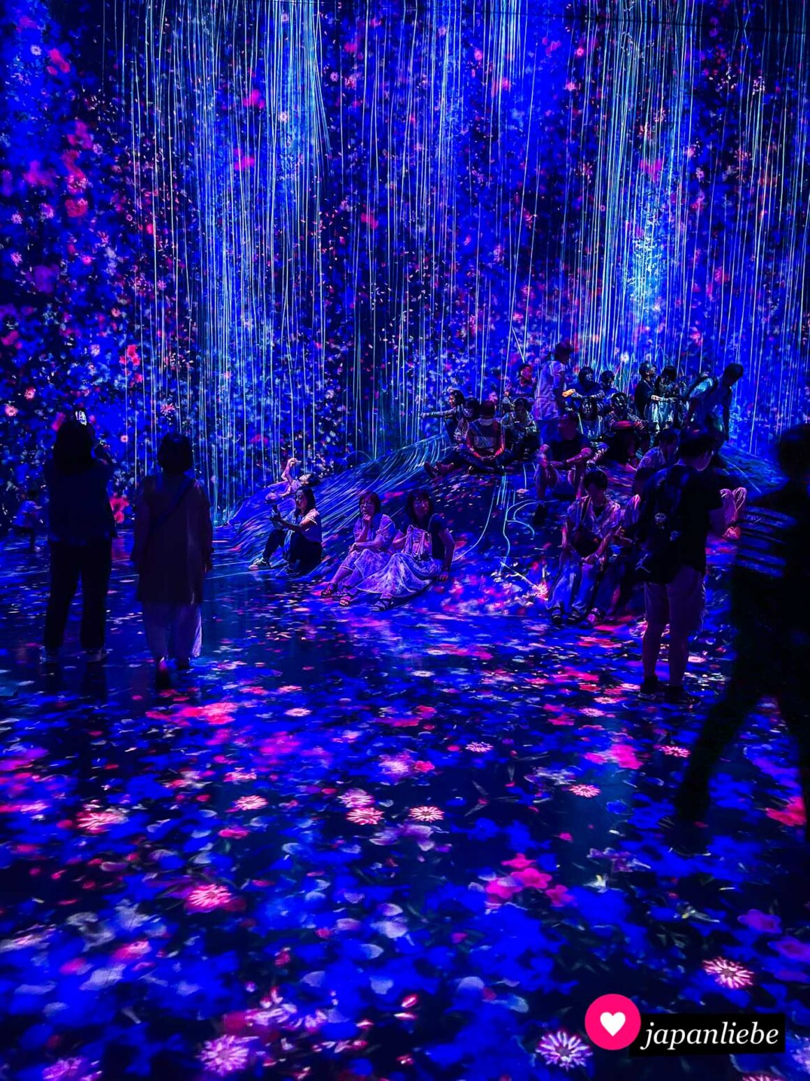 teamLab Borderless – digitales Kunstmuseum in Tōkyō - japanliebe.de