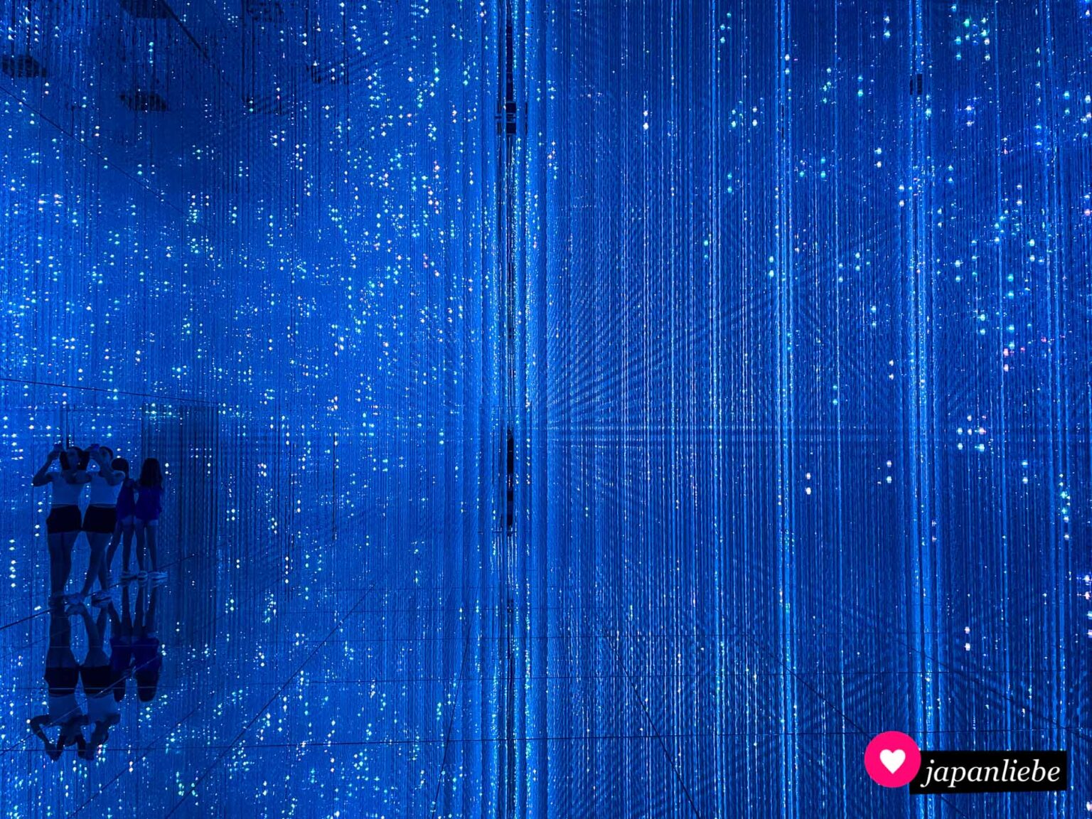 teamLab Borderless – digitales Kunstmuseum in Tōkyō - japanliebe.de