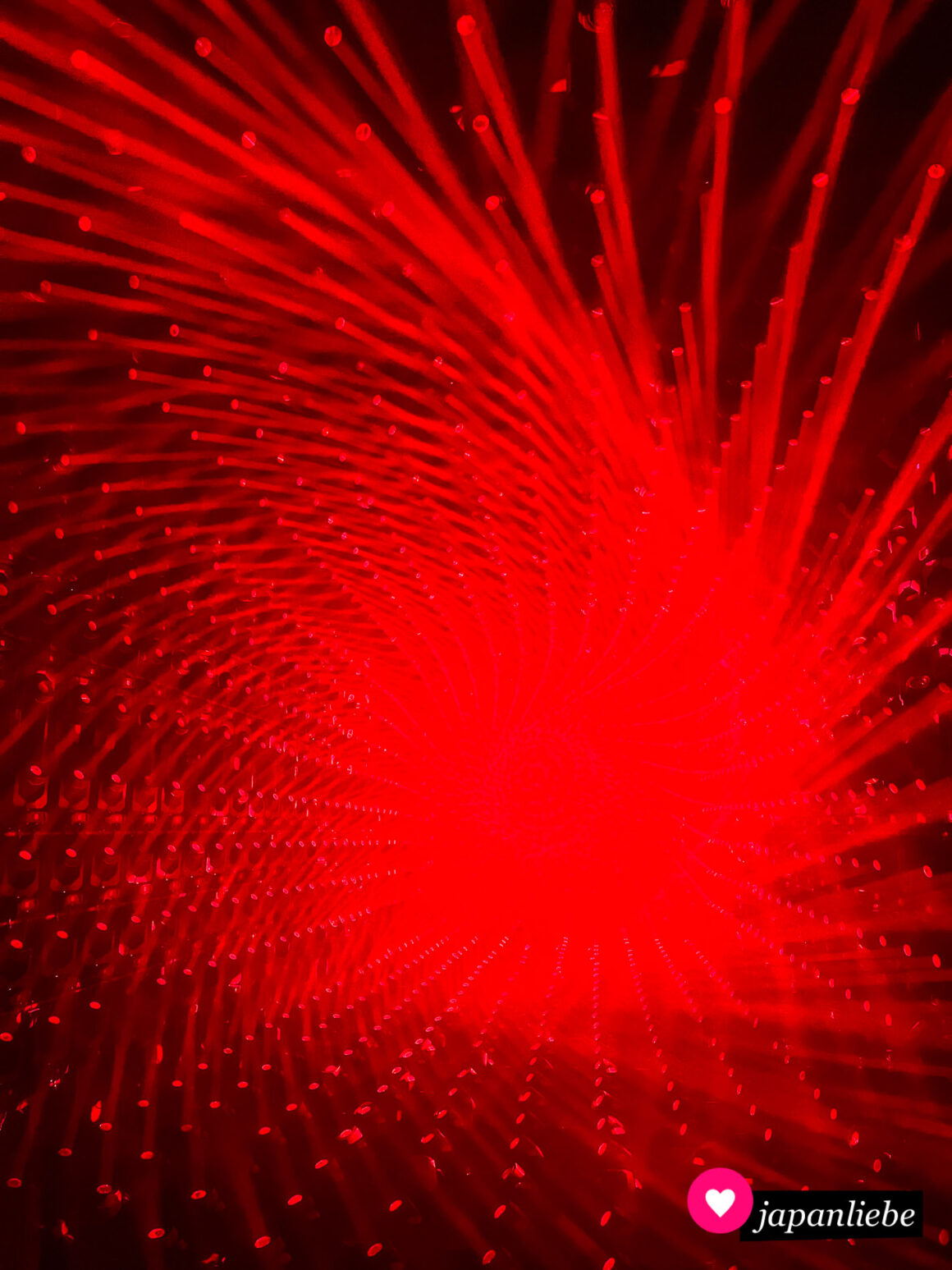 teamLab Borderless – digitales Kunstmuseum in Tōkyō - japanliebe.de