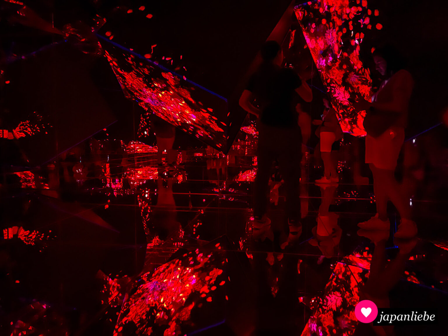 teamLab Borderless – digitales Kunstmuseum in Tōkyō - japanliebe.de